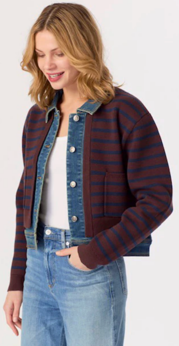 Stripe Denim Jacket in Chocolate Stripe – nk boutique baton rouge